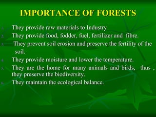 Forest and wildlife | PDF