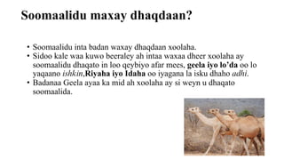 DHAQANKA SOOMAALIYEED..-1.pptx_20240329_100046_0000.pptx