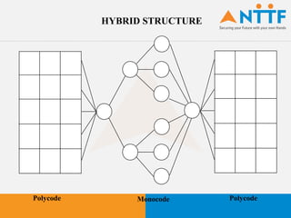 Classification Of Coding | PPT