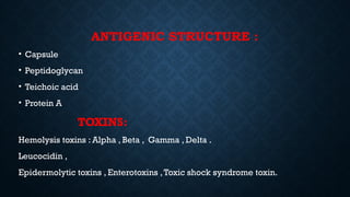Staphylococcus aureus overview of SlideShare | PPTX