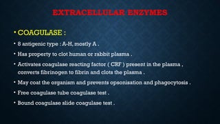 Staphylococcus aureus overview of SlideShare | PPTX