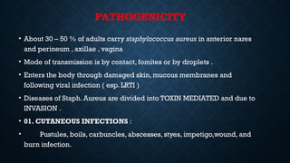 Staphylococcus aureus overview of SlideShare | PPT