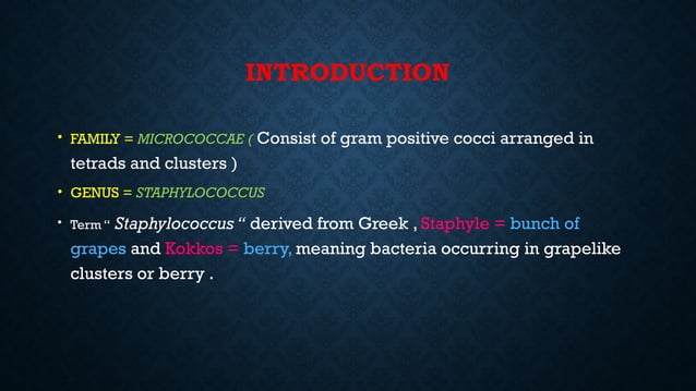 Staphylococcus aureus overview of SlideShare | PPT