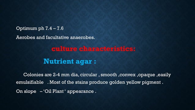 Staphylococcus aureus overview of SlideShare | PPT