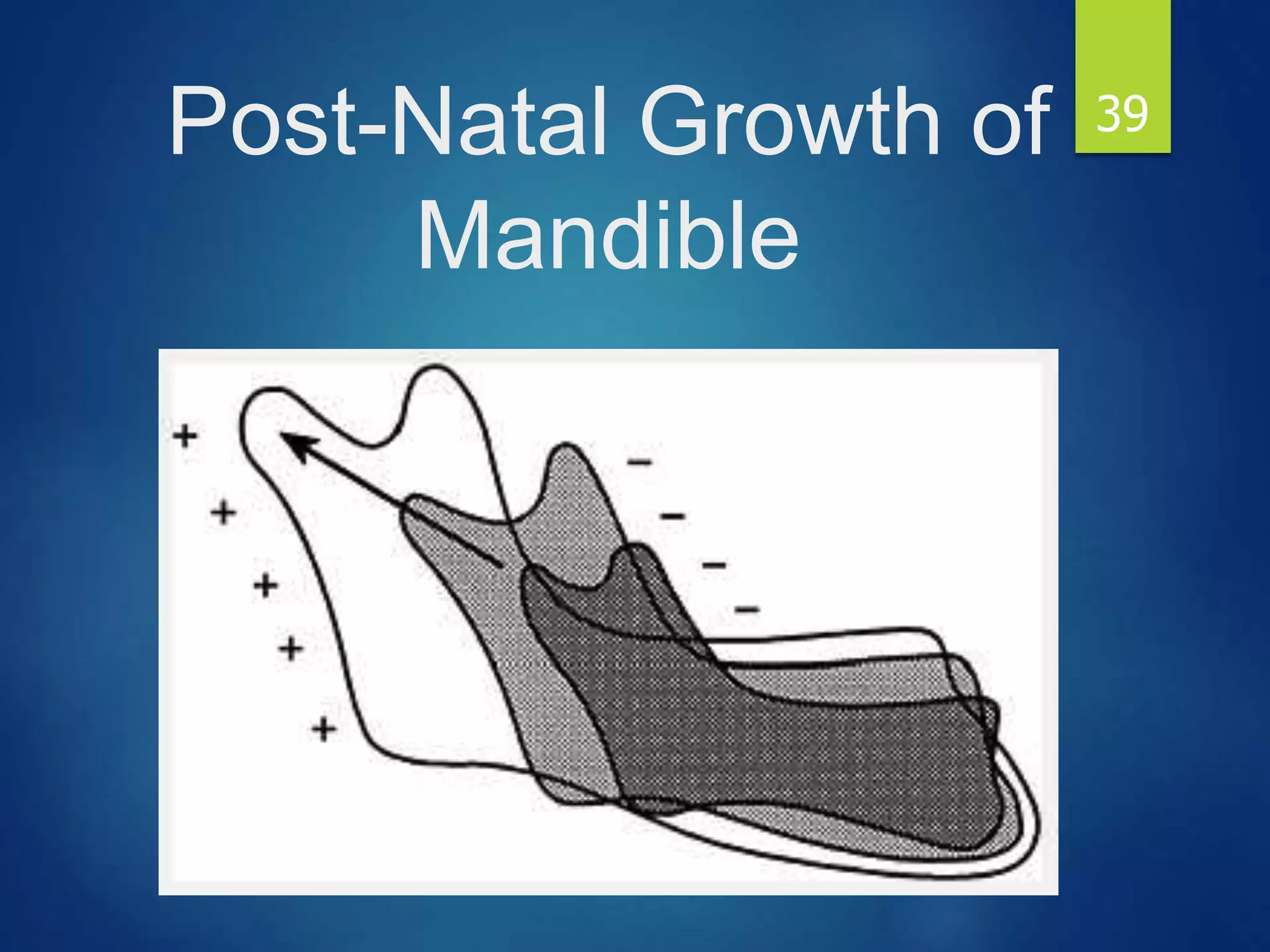 Post-natal Growth of Maxilla and Mandible | PPT | Bone and Joint Conditions | Diseases and ...