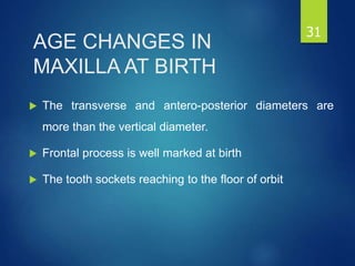 Post-natal Growth of Maxilla and Mandible | PPT