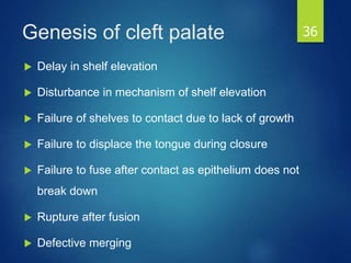 Post-natal Growth of Maxilla and Mandible | PPT