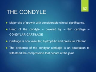 Post-natal Growth of Maxilla and Mandible | PPT