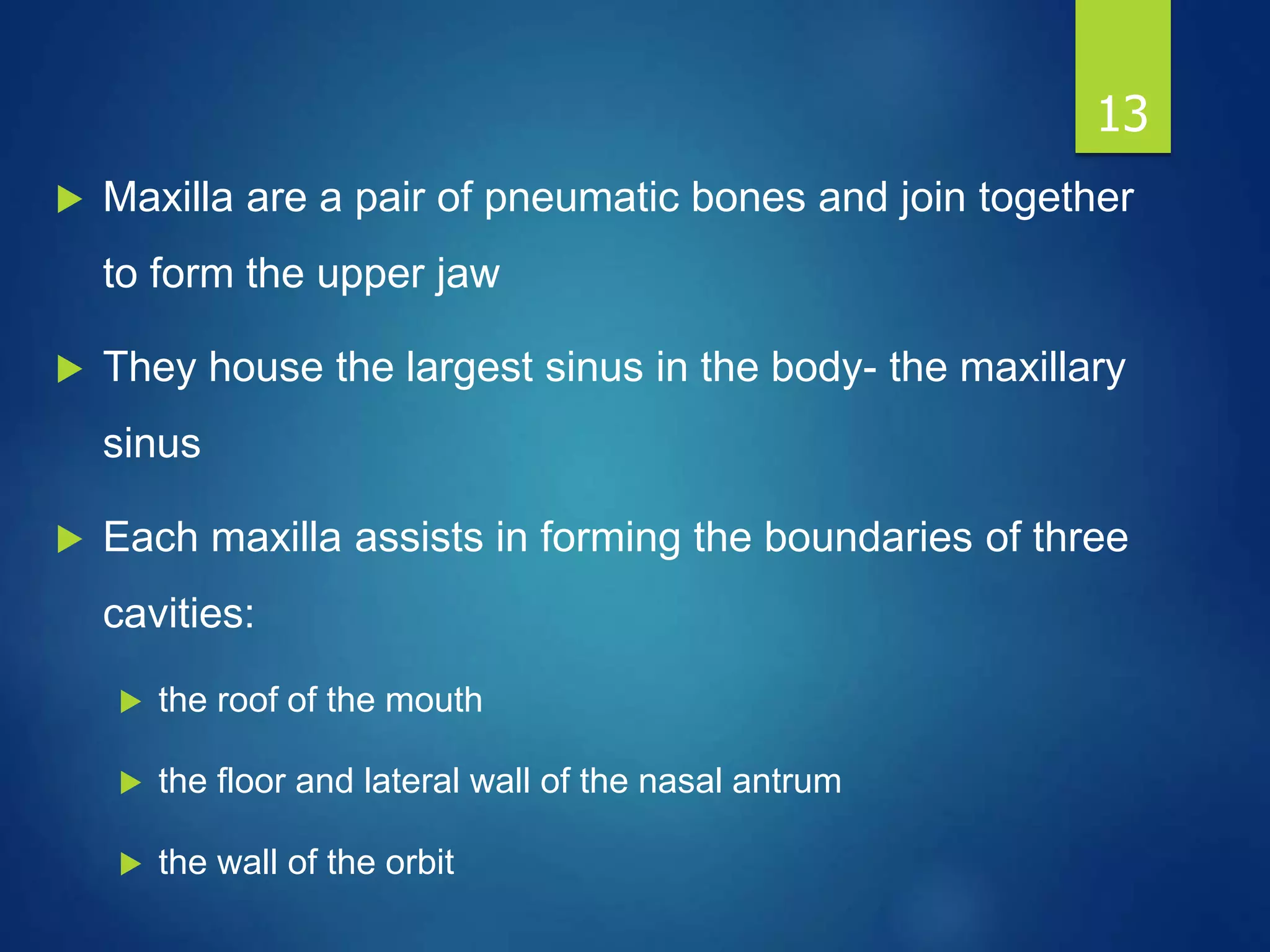 Pre-natal Growth Of Maxilla and Mandible | PPT