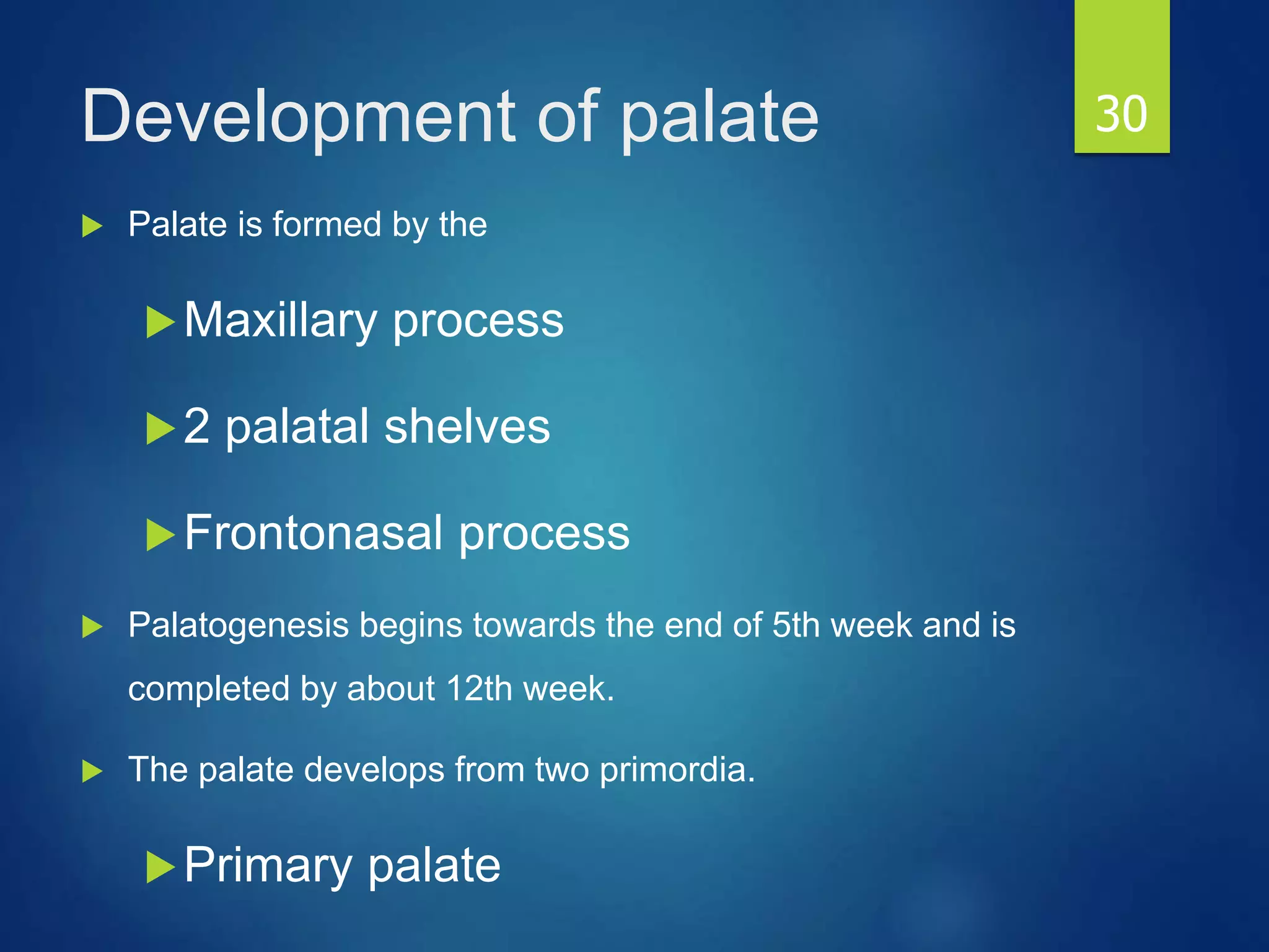 Pre-natal Growth Of Maxilla and Mandible | PPT