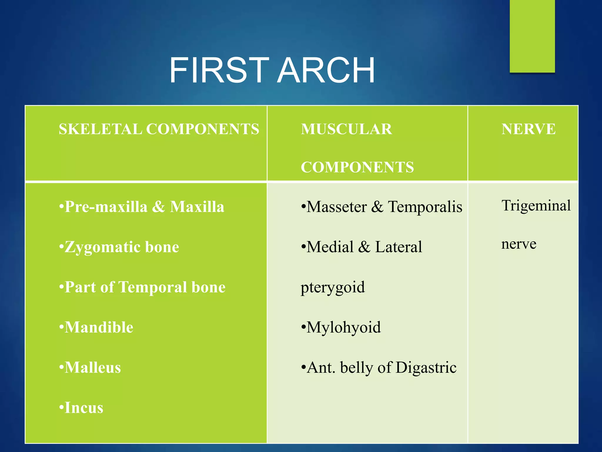 Pre-natal Growth Of Maxilla and Mandible | PPT