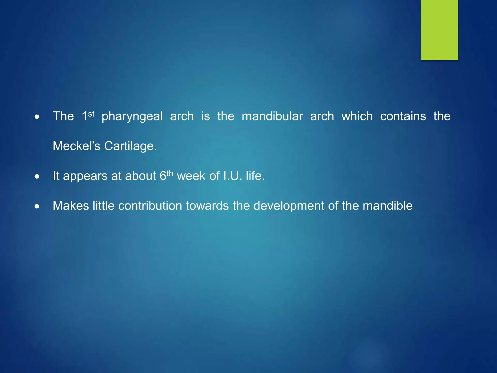 Pre-natal Growth Of Maxilla and Mandible | PPT