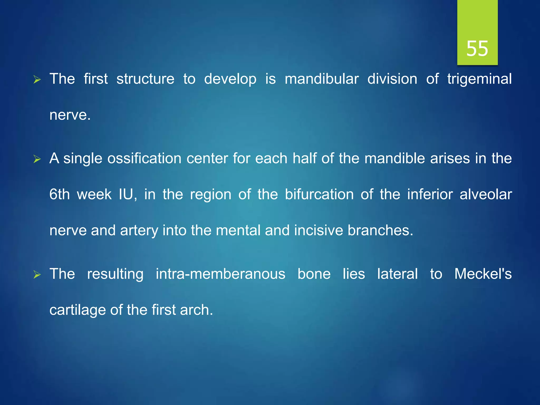 Pre-natal Growth Of Maxilla and Mandible | PPT