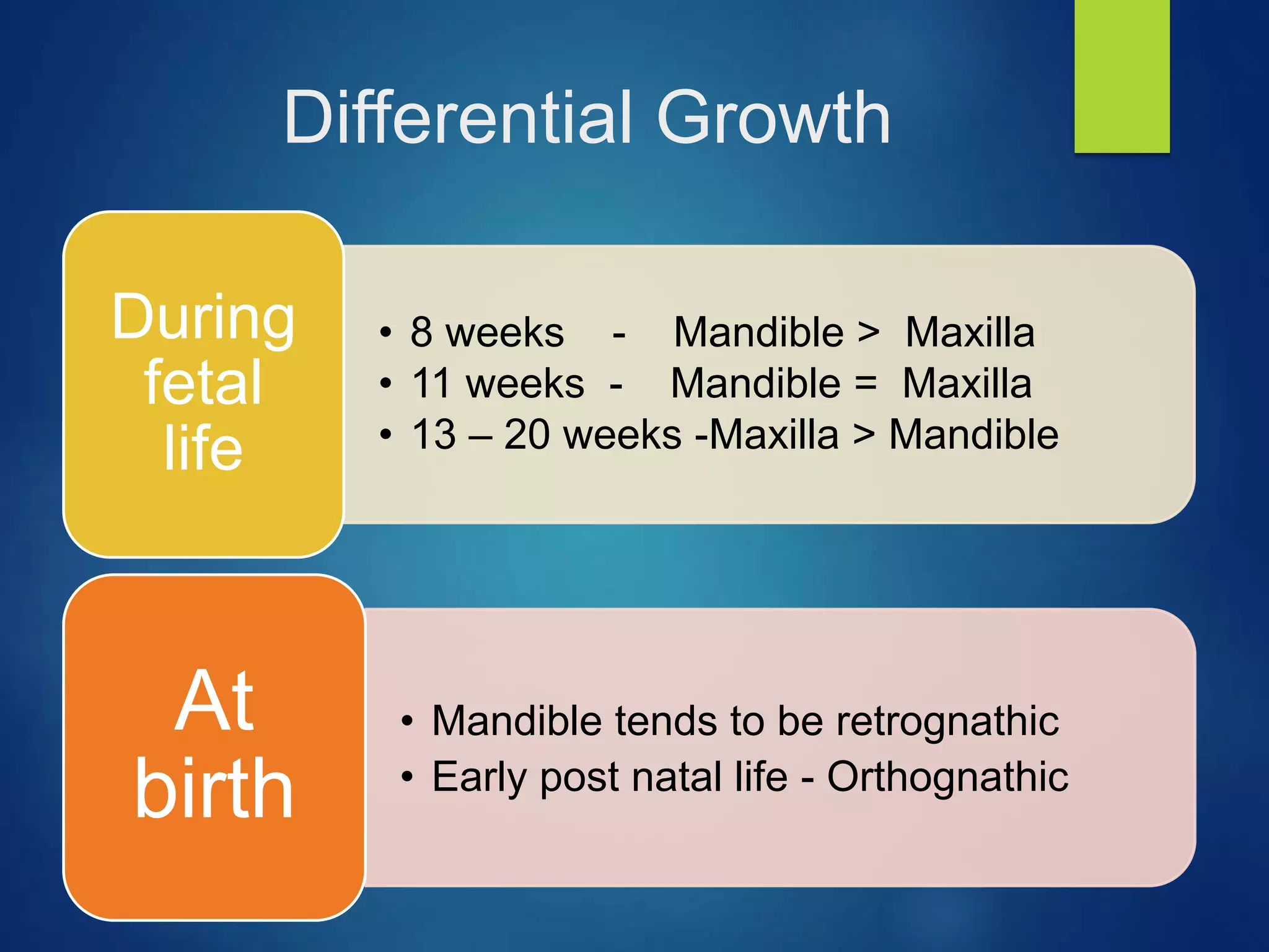 Pre-natal Growth Of Maxilla and Mandible | PPT