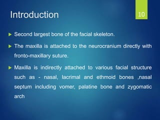 Pre-natal Growth Of Maxilla and Mandible | PPT