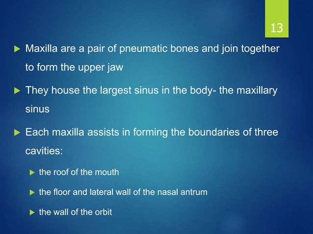 Pre-natal Growth Of Maxilla and Mandible | PPT | Ear, Nose and Throat ...