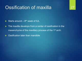 Pre-natal Growth Of Maxilla and Mandible | PPT