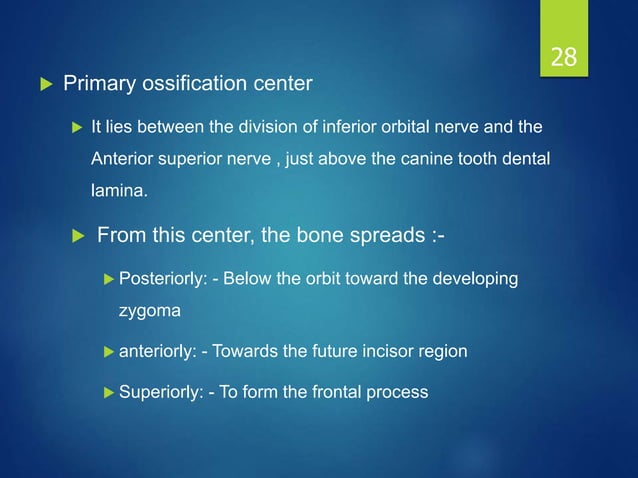 Pre-natal Growth Of Maxilla and Mandible | PPT | Ear, Nose and Throat ...