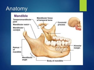 Pre-natal Growth Of Maxilla and Mandible | PPT