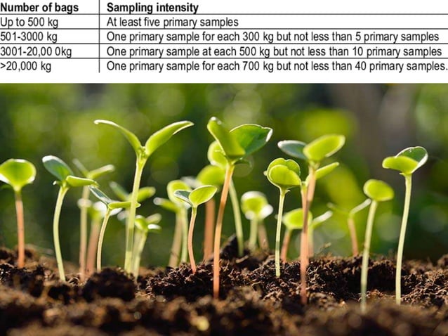 Seed Sampling | PPT | Gardening | Home & Garden