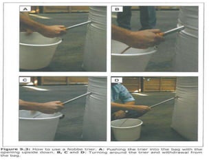 Seed Sampling | PPT | Gardening | Home & Garden