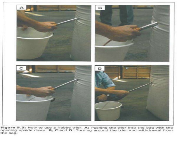 Seed Sampling | PPT | Gardening | Home & Garden