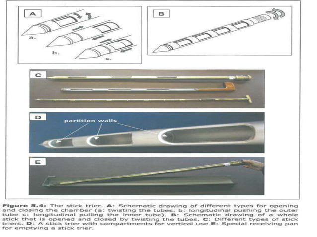 Seed Sampling | PPT | Gardening | Home & Garden