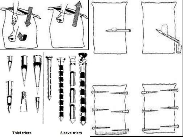 Seed Sampling | PPT | Gardening | Home & Garden