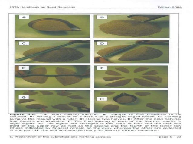 Seed Sampling | PPT | Gardening | Home & Garden