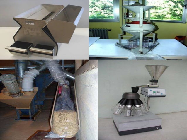 Seed Sampling | PPT | Gardening | Home & Garden