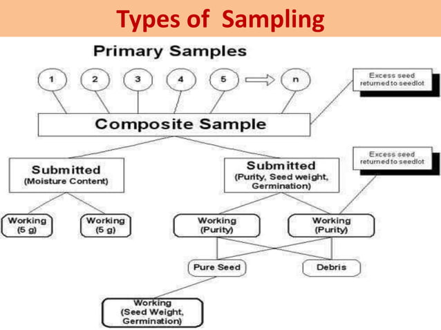 Seed Sampling | PPT | Gardening | Home & Garden