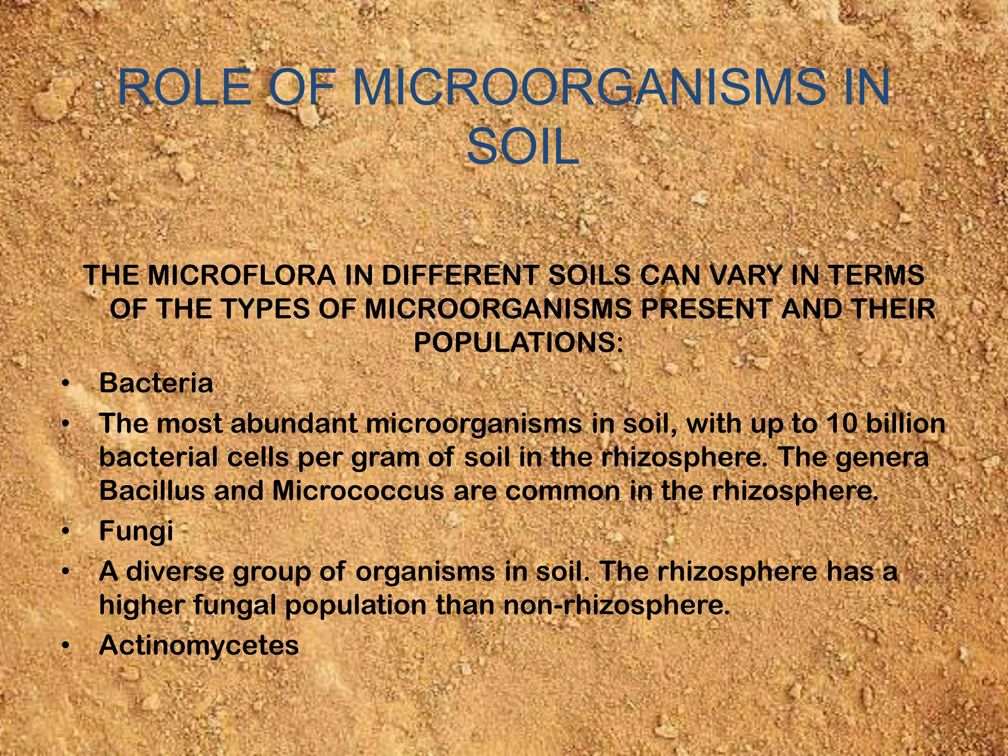 DHARNI.ppt soil and agricultural microbiology | PDF