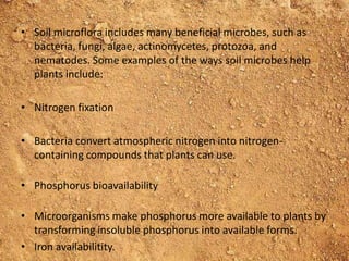 DHARNI.ppt soil and agricultural microbiology | PDF