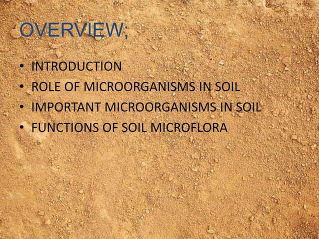 DHARNI.ppt soil and agricultural microbiology | PDF