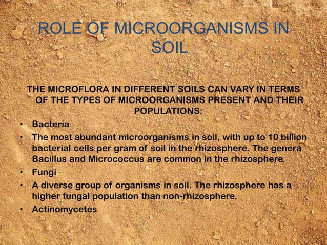 DHARNI.ppt soil and agricultural microbiology | PDF