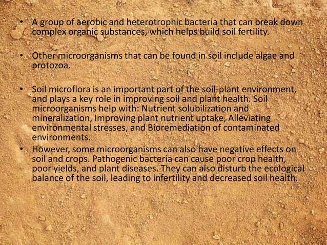 DHARNI.ppt soil and agricultural microbiology | PDF