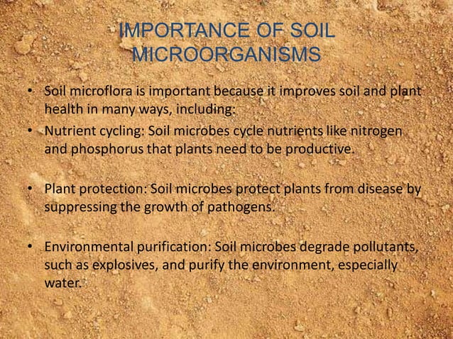 DHARNI.ppt soil and agricultural microbiology | PDF