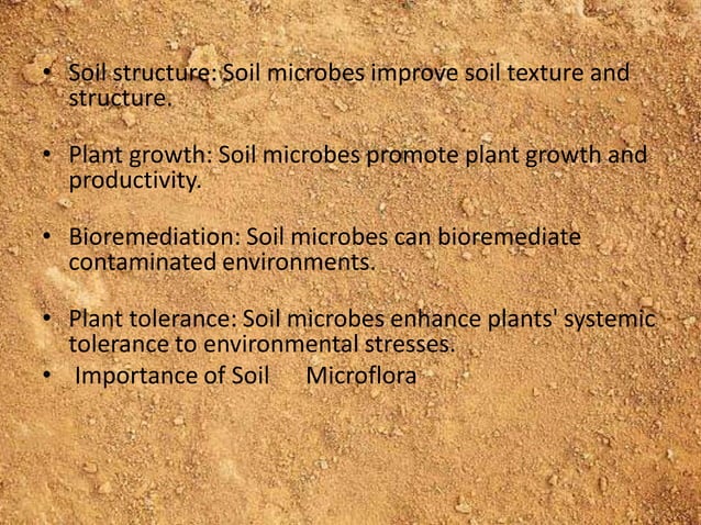 DHARNI.ppt soil and agricultural microbiology | PDF