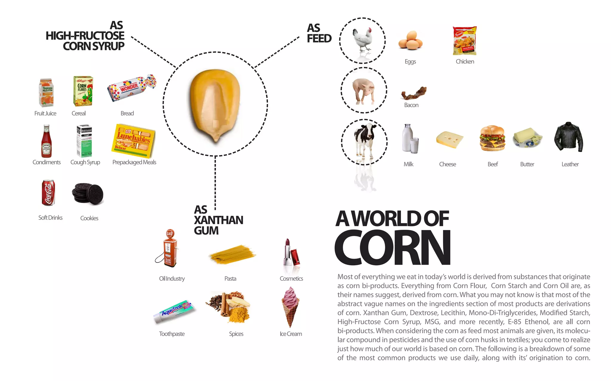 Finding Diversity in Food | PDF