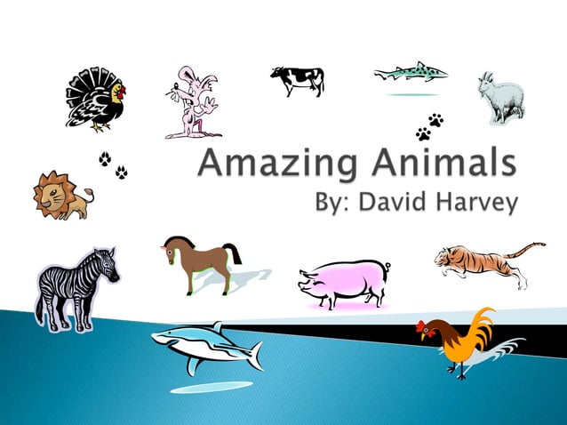 Amazing Animals | PPTX | Education