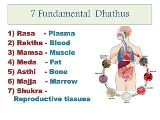 Dhathus and its functions | dr.franklin ayurvedic centre | PPT
