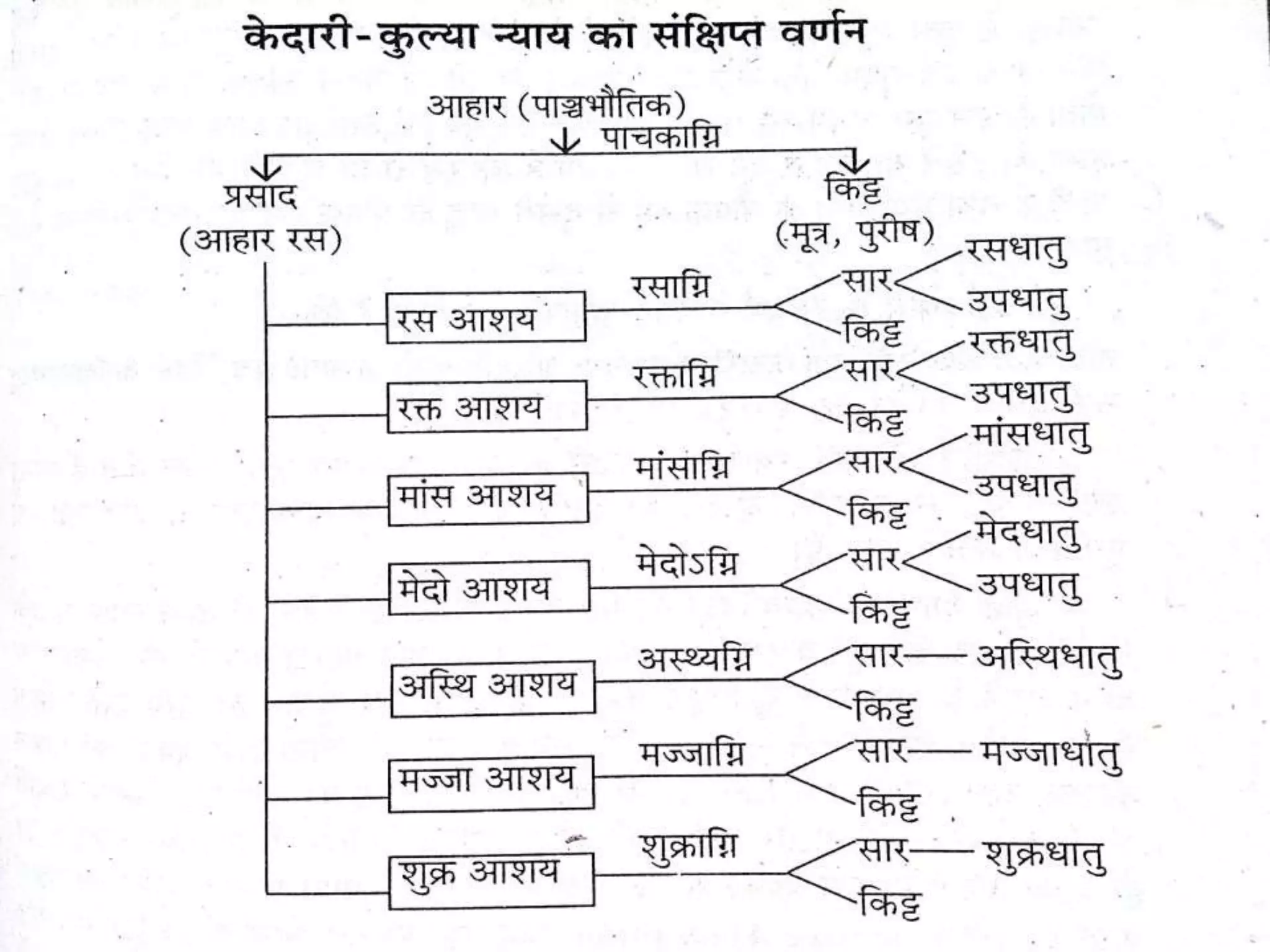 Dhatu poshana nyaya | PPTX