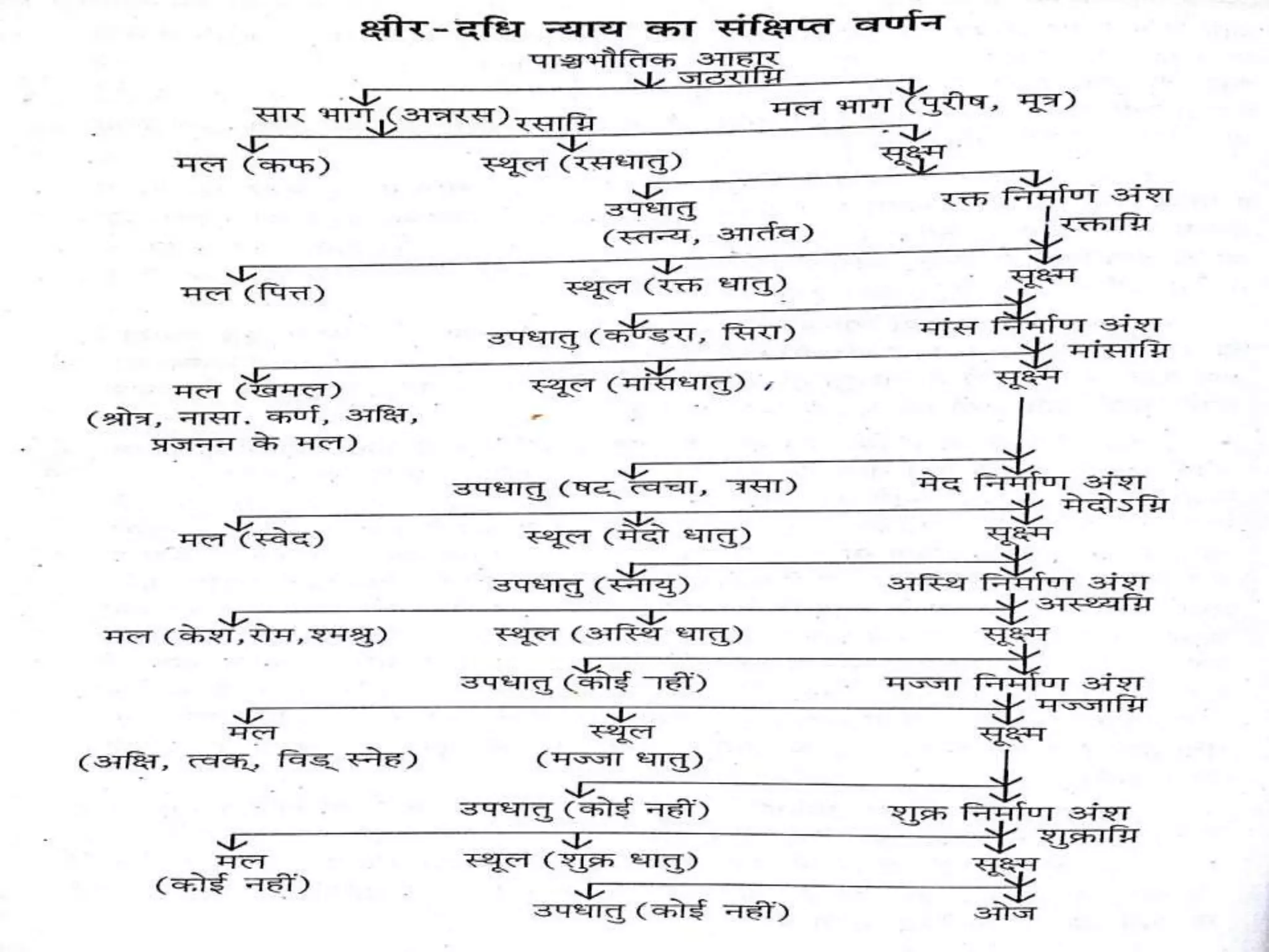 Dhatu poshana nyaya | PPTX