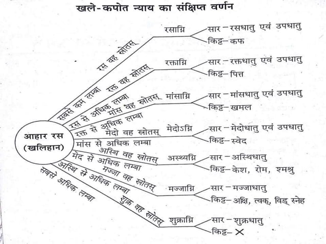 Dhatu poshana nyaya | PPTX