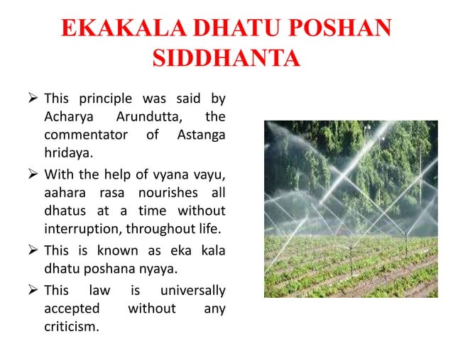 Dhatu poshana nyaya | PPTX