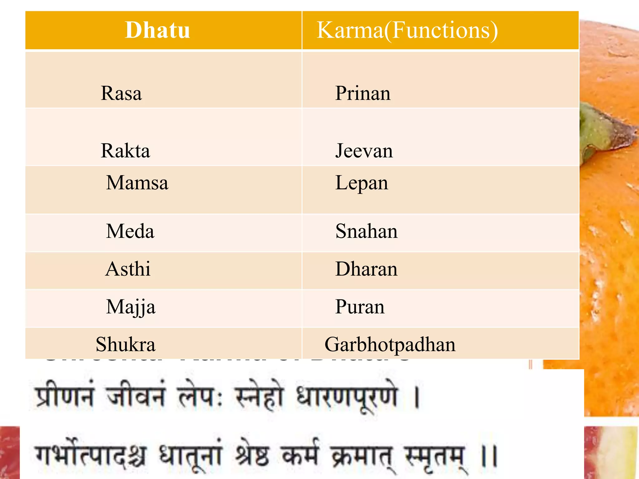 Dhatu poshan nyayas | PPTX