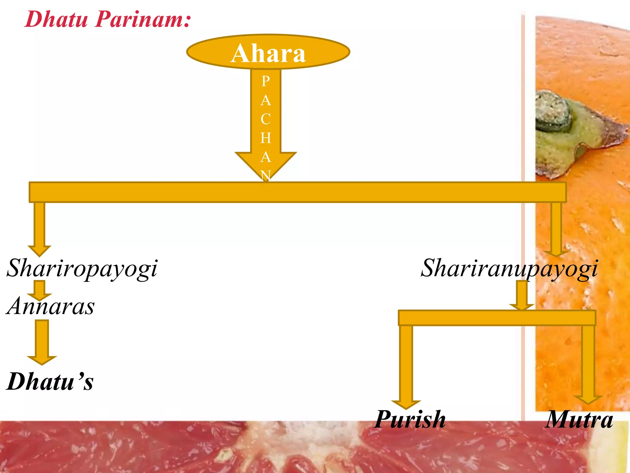 Dhatu poshan nyayas | PPTX