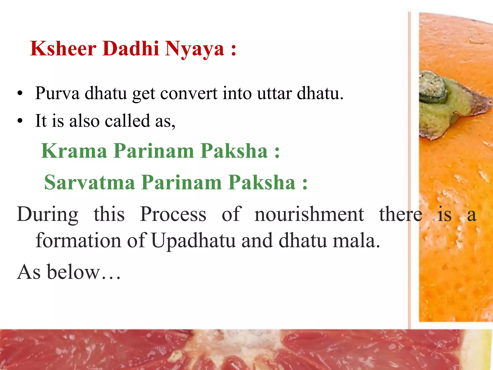 Dhatu poshan nyayas | PPTX