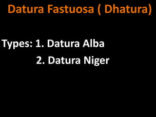 Dhatura | PPTX