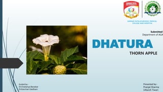 DHATURA UTKARSH PPT MAIN copy REVISED.pptx